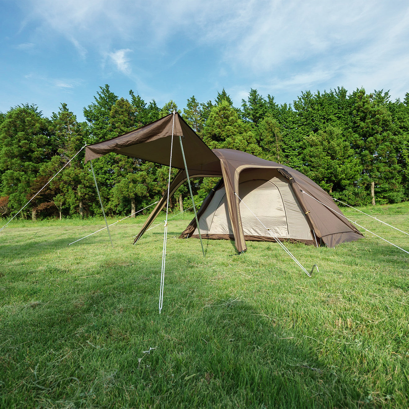 Ogawa Stacy Falda 一房一廳營 – Autocamper Hong Kong